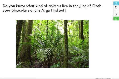 Real Photo BOOM Book I Wonder What You'll See in the Jungle by Panda Speech