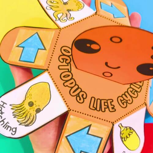 Life cycle of an octopus craft ocean animal cut and paste sequencing ...