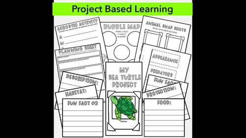 Animal Research Project for 2nd grade and 3rd Grade - Sea Turtle