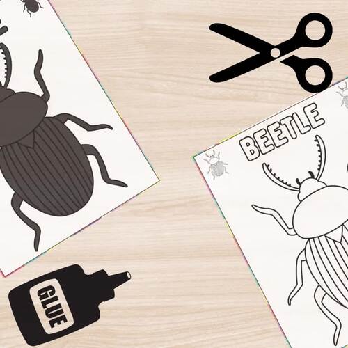 Beetle Craft Template-Spring Bulletin Board Craft-Insect Cut & Paste ...