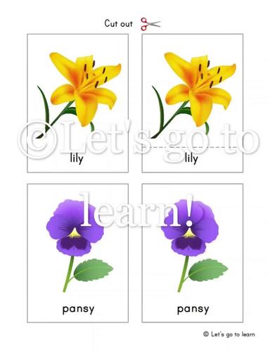 Flower 3-Part Cards, Nomenclature Cards, Montessori, Flower Recognition, 40