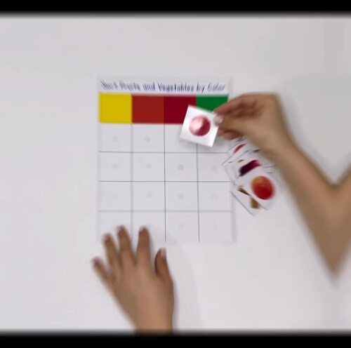 Fruits and Vegetables Sort by Color Special Education Autism Toddler ...