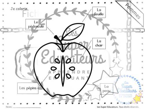 Fiches thématiques pommes - French apples worksheets by Les Super ...