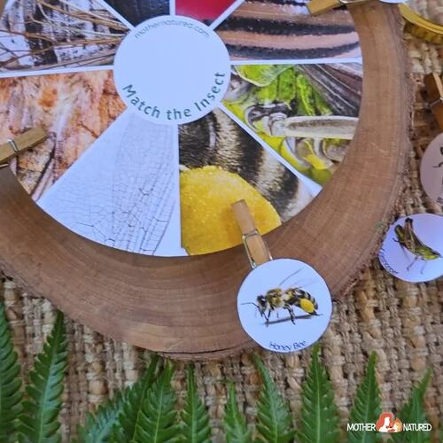 Minibeast Matching Activity | Insect Pattern Activity | Preschool Pattern