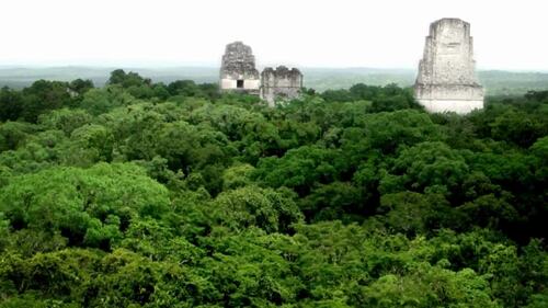 Time Traveler's Toolkit - Unearthing History through Digital Skills