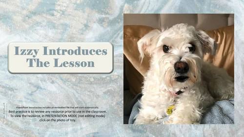 READY TO USE Book-based Empathy Bullying Prevention No Prep SEL Lessn w ...