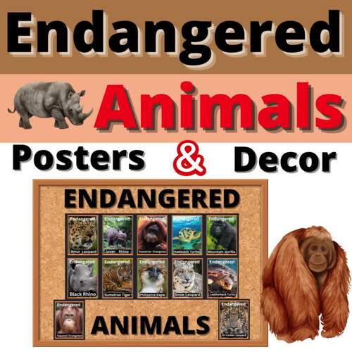 Endangered Animals Posters and Classroom Decor by IncredibleDesigns