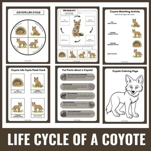 Life cycle of a Coyote: North American Animal Science unit study with ...