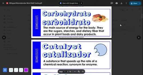 Biology Word Wall | Biomolecules Macromolecules & Enzymes Vocabulary ...