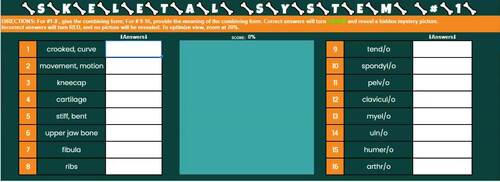 Skeletal System Medical Terminology Combining Forms and Print Activity