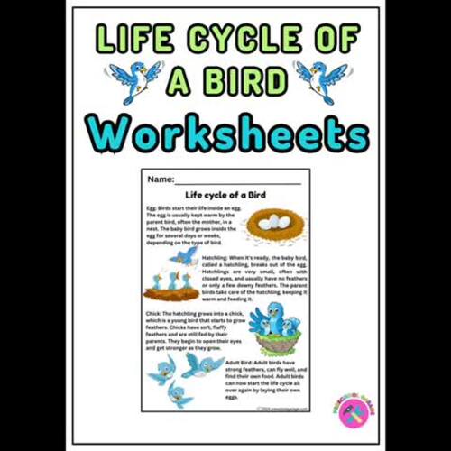 Life cycle of a Bird Packet by Preschool Garage | TPT