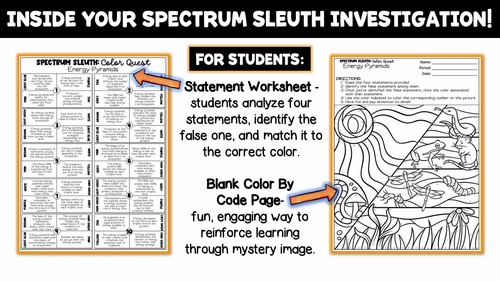Energy Pyramids Color by Code | Spectrum Sleuth Ecosystem Science Activity