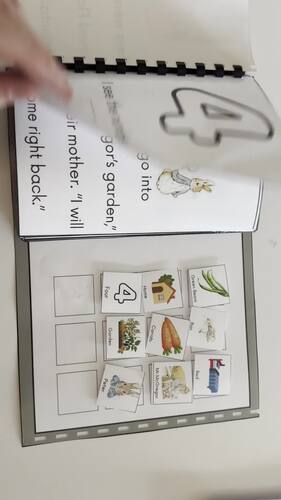 Peter Rabbit Teachtown - Adapted Book by Taylor Jefferson | TPT