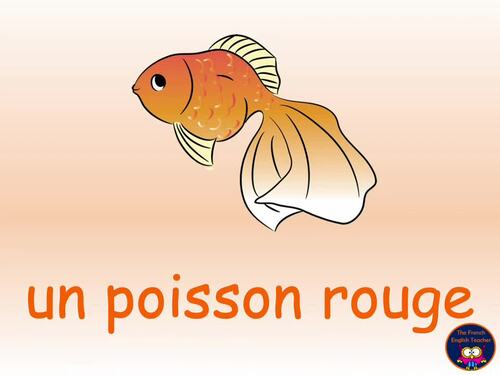 LES ANIMAUX DE COMPAGNIE - POWERPOINT on pets vocabulary in French