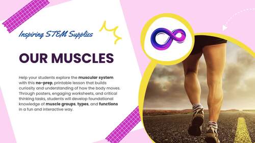 Our Muscles & The Muscular System Workbook & Activities | A ...