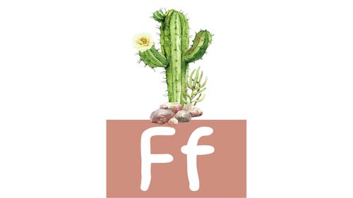 ABC alphabet posters cactus theme with borders AND A BONUS! pastel boho