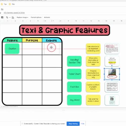 Text Features - Reading Interactive Notebook Pages | TpT