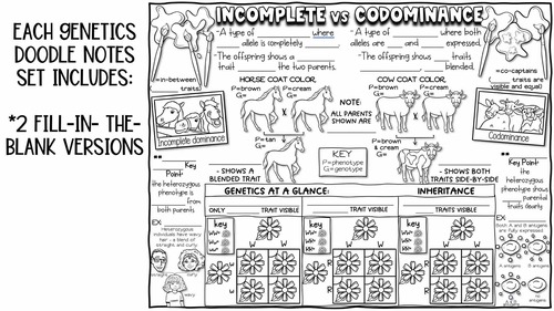 Genetics Doodle Notes Growing Bundle with Quizzes & PowerPoints | Heredity