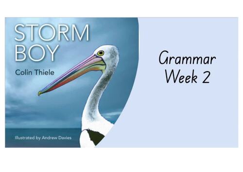 Storm Boy Unit 9 - Component A Wk2 (Vocabulary, Fluency Grammar)