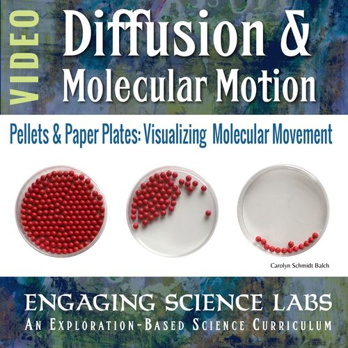 Diffusion Lab—Molecular Motion and Change of State Video & Written ...