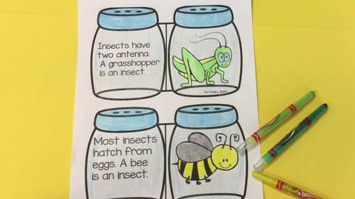 All About Insects/Bug Jar Book by The Primary Sisters | TPT