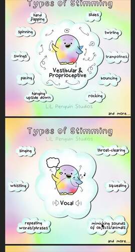 Types of Stimming Bulletin Board, Poster, Visuals, Worksheets | Autism ...