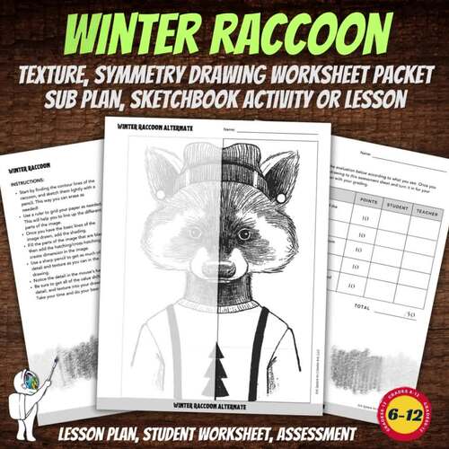 Texture & Symmetry Winter Raccoon, Sub Plan, Middle, High School Art ...
