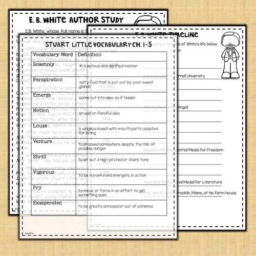 Stuart Little Novel Study | Print & Google Classroom by Joyful 4th
