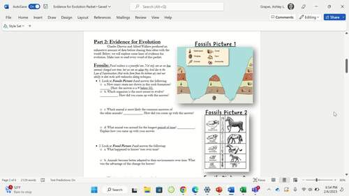 Evidence for Evolution Inquiry-Based Packet Activity Worksheet | TPT