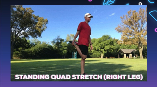 Stretching For PE by The PE Coach Corner | TPT