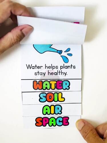 Plant Needs Activities Grades 1-2 | Reading, Writing, Crafts, Worksheets