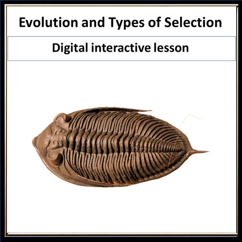 Evolution and Types of Selection Digital Resource for High School / AP ...