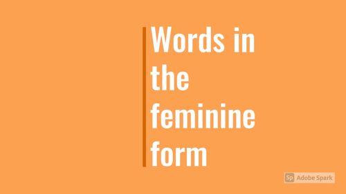 FRENCH The feminine form of masculine nouns ending in -ier, er -review ...