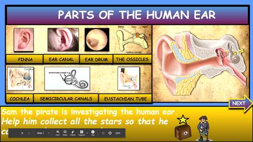 Parts of the Human Ear Powerpoint + Worksheet. Outer Ear Middle Ear ...
