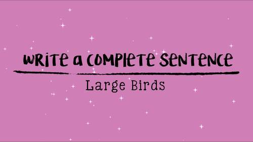 Respond to a Picture Prompt LARGE BIRDS Sentence Writing for the Google