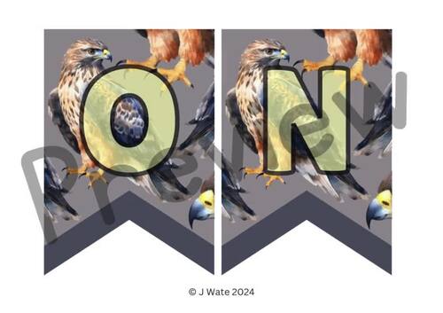 Animal Research Project | Animal Habitats | Falcon Fact File Worksheets