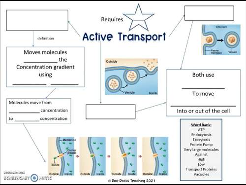 Cell Transport Review Worksheet by Rae Rocks Teaching | TPT