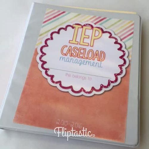 The Ultimate Special Education Binder - Rainbow {editable} IEP Binder