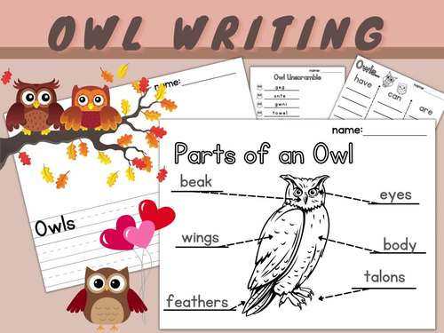 Owl Informative Writing | Have Can Are | Label | Life Cycle | Comprehension