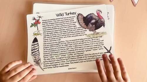 Turkey Unit Study Life Cycle & Anatomy Fall Thanksgiving Unit Homeschool