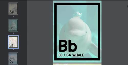 Animal Alphabet Line - real photos! by Allie Szczecinski with Miss Behavior