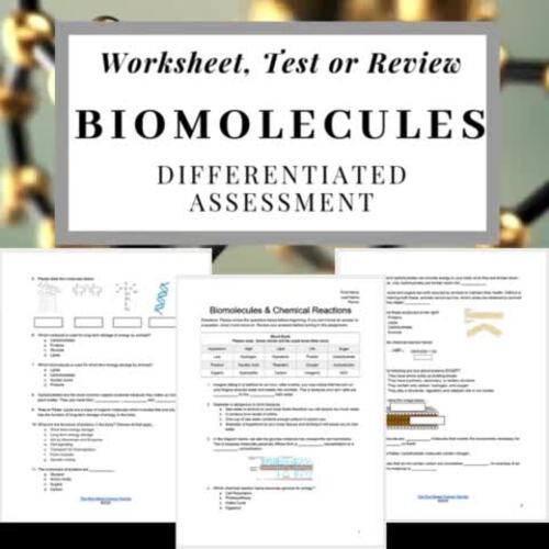 Biomolecules, Proteins and Chemical Reactions: Assessment or Worksheet