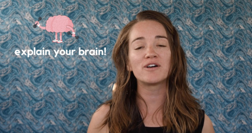 How to Write Commentary | Step-by-Step Video Lesson by Blissly Learning