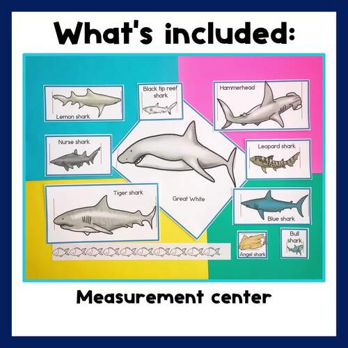 Shark Week Activities Addition & Subtraction Measurement Posters ...