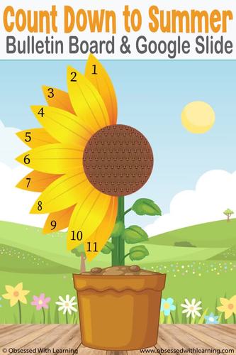 Countdown to Summer Sunflower Bulletin Board & Google Slides Writing ...
