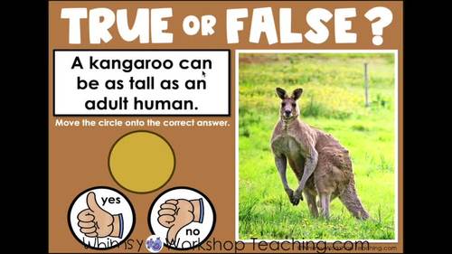 Google Slides™ Science True False Kangaroos Nonfiction Animal Facts
