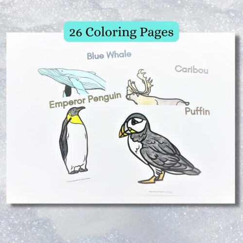 antarctic animals coloring pages