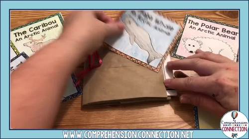 Polar Animals Project, Polar Animals Paper Bag Books for Research