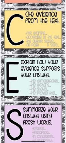 RACES Posters With Complimentary Graphic Organizer by Ali's Answers