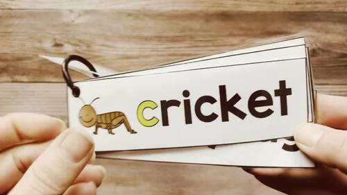 Counting to 10 with Insects / Bugs - Preschool, Kindergarten, Special ...